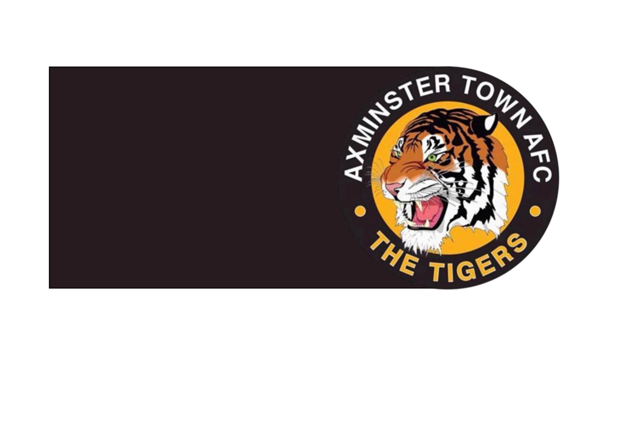 Axminster Town AFC