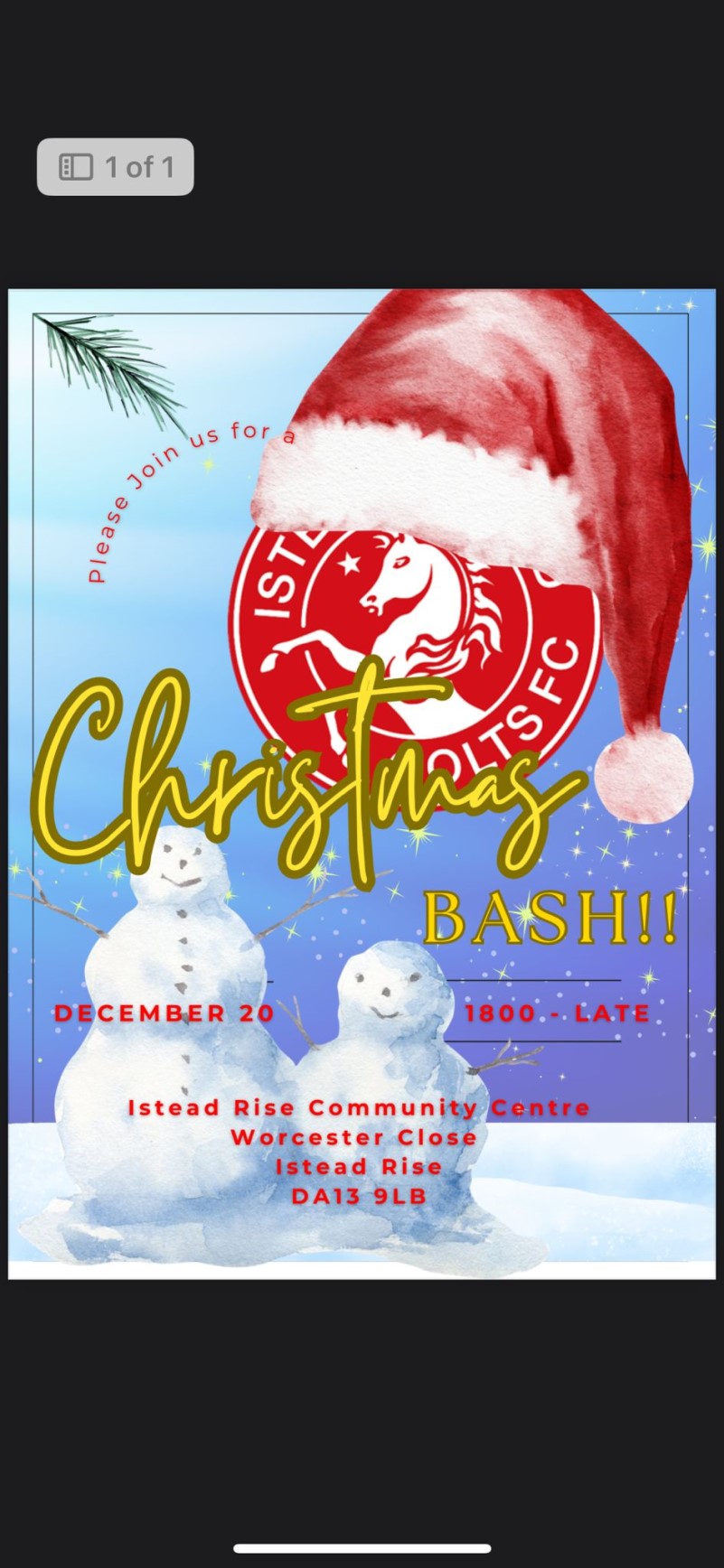 Welcome to the official website of Istead United Colts FC | Istead Rise ...