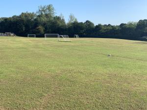 Gallery - Shephall United