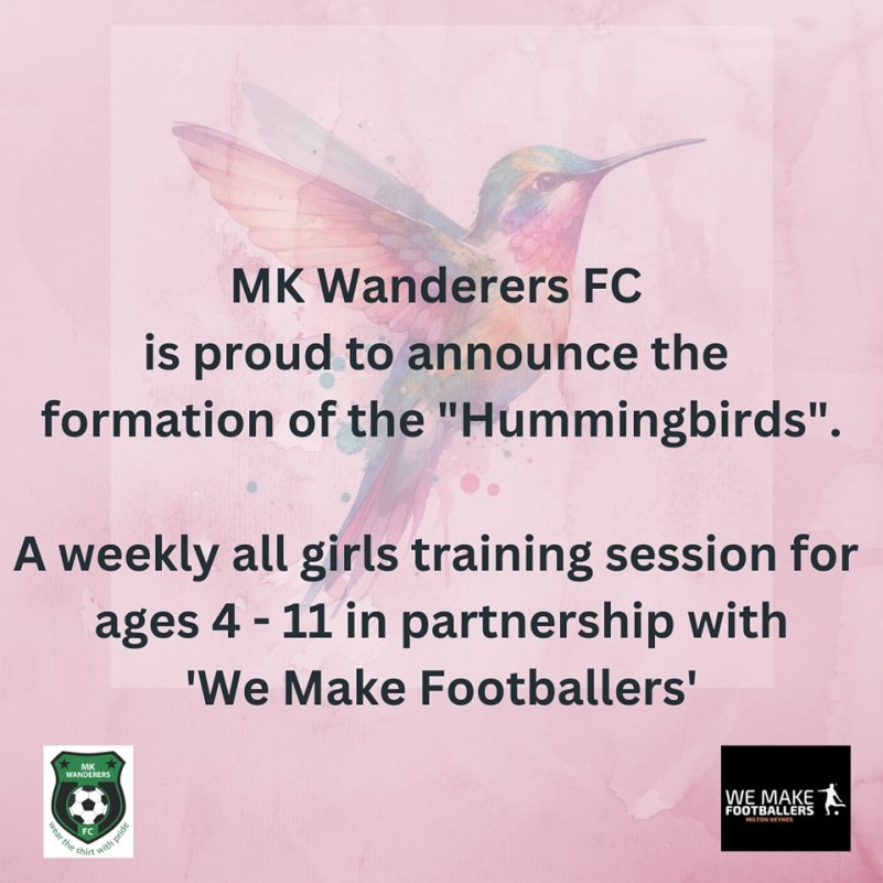 We Make Footballers: Milton Keynes - MK Wanderers Football Club