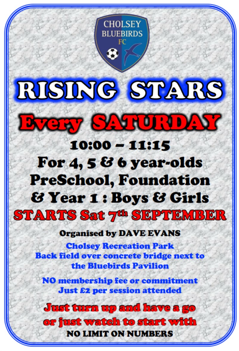 Welcome to the official website of Cholsey Bluebirds FC | Wallingford ...