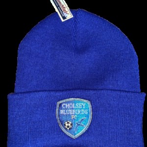 Welcome to the official website of Cholsey Bluebirds FC | Wallingford ...