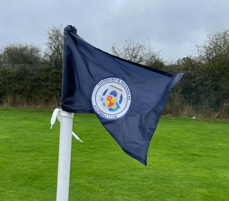 Heartbreak for U13 Royals as trophy slips away - Danbury & Bicknacre FC