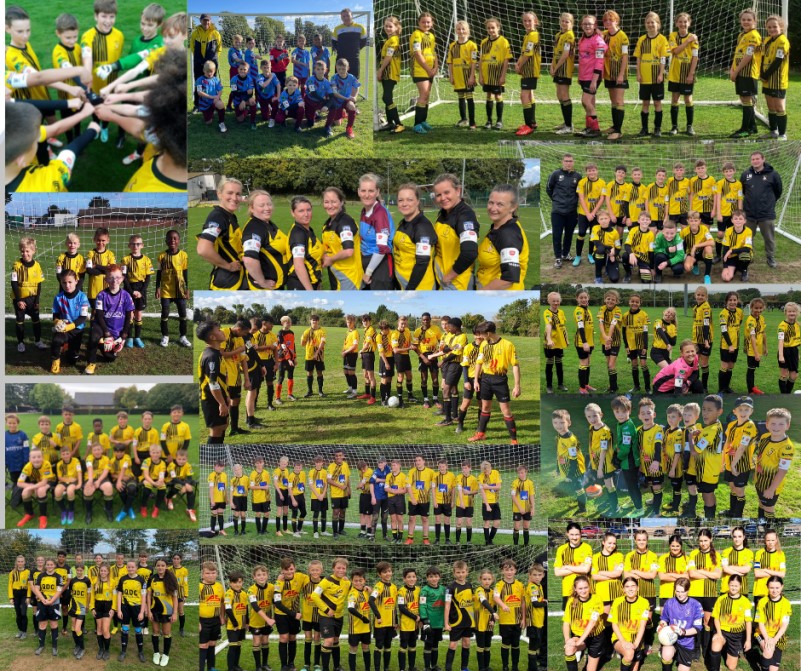 KENT FA PLAY SAFE CAMPAIGN - Larkfield Football Club