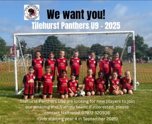 Tilehurst Panthers