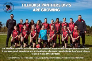 Tilehurst Panthers