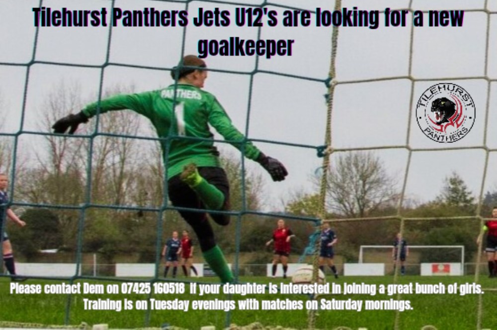 We want you! - Tilehurst Panthers