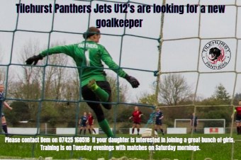 Tilehurst Panthers