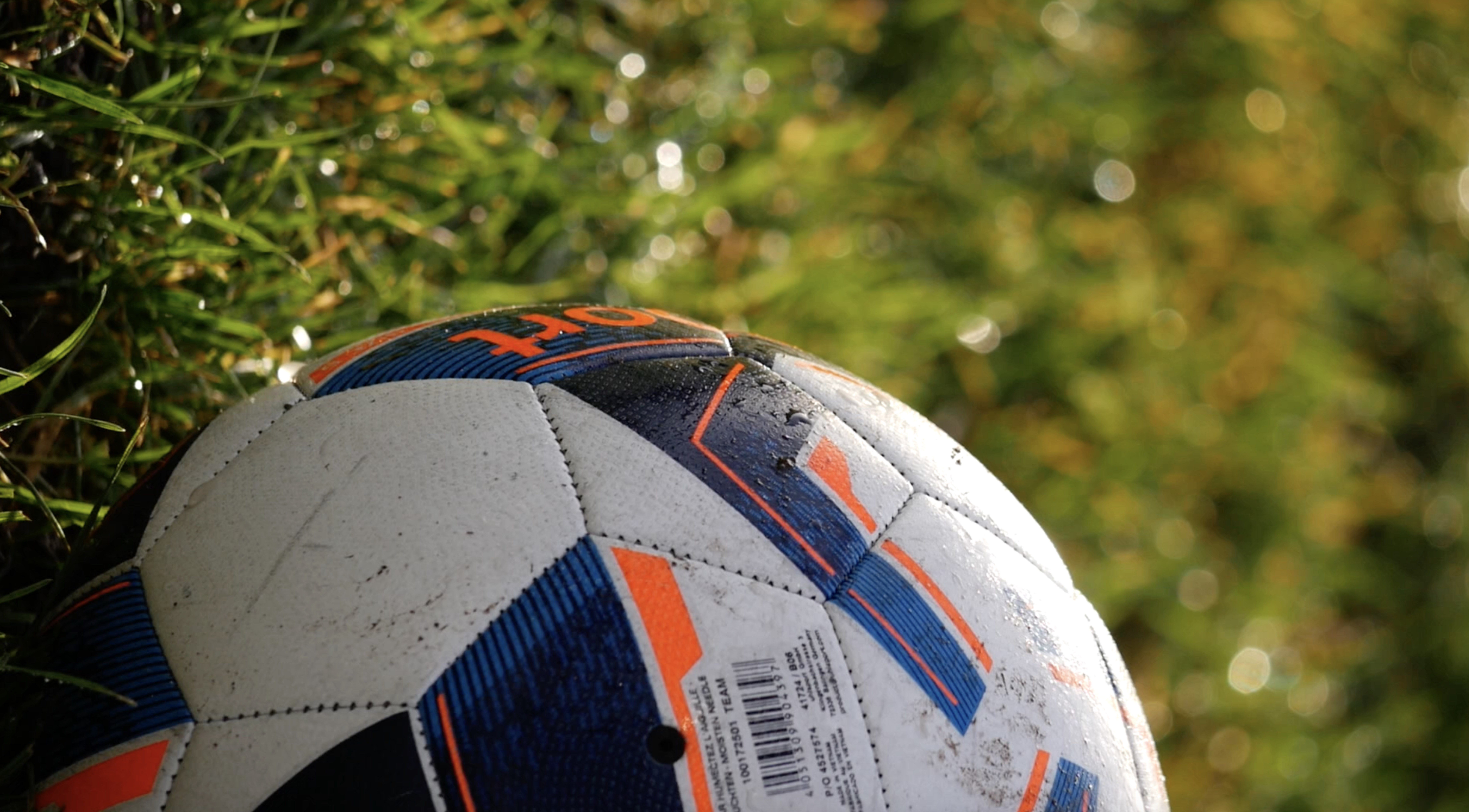 Dudley Town 0 AFC Wolverhampton City 4: The Robins see defeat at the ...