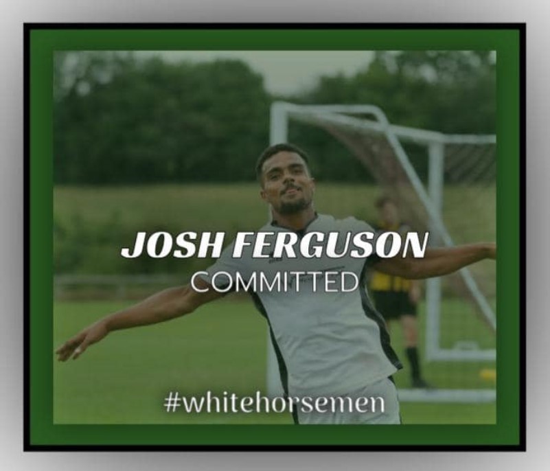 Fergie flips his way back - Westbury Utd