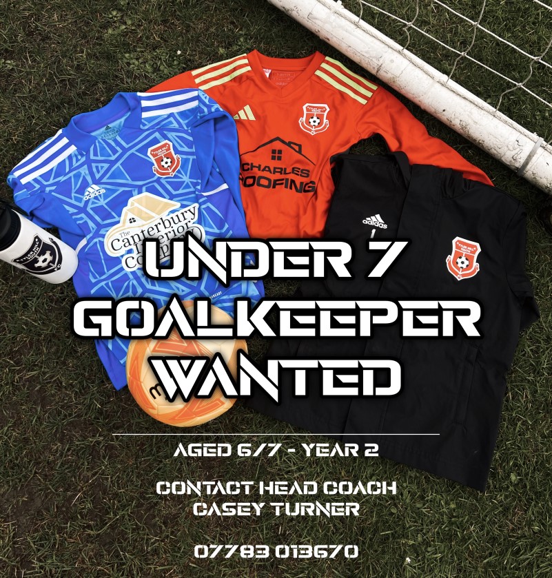 UNDER 7 GOALKEEPER WANTED - tyler hill youth