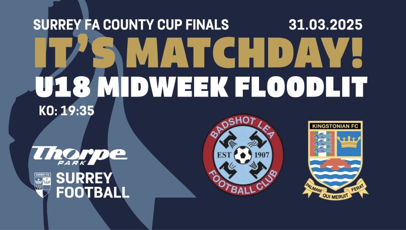 SURREY MIDWEEK CUP FINAL AT DORKING (L 0-3) - Badshot Lea Football Club