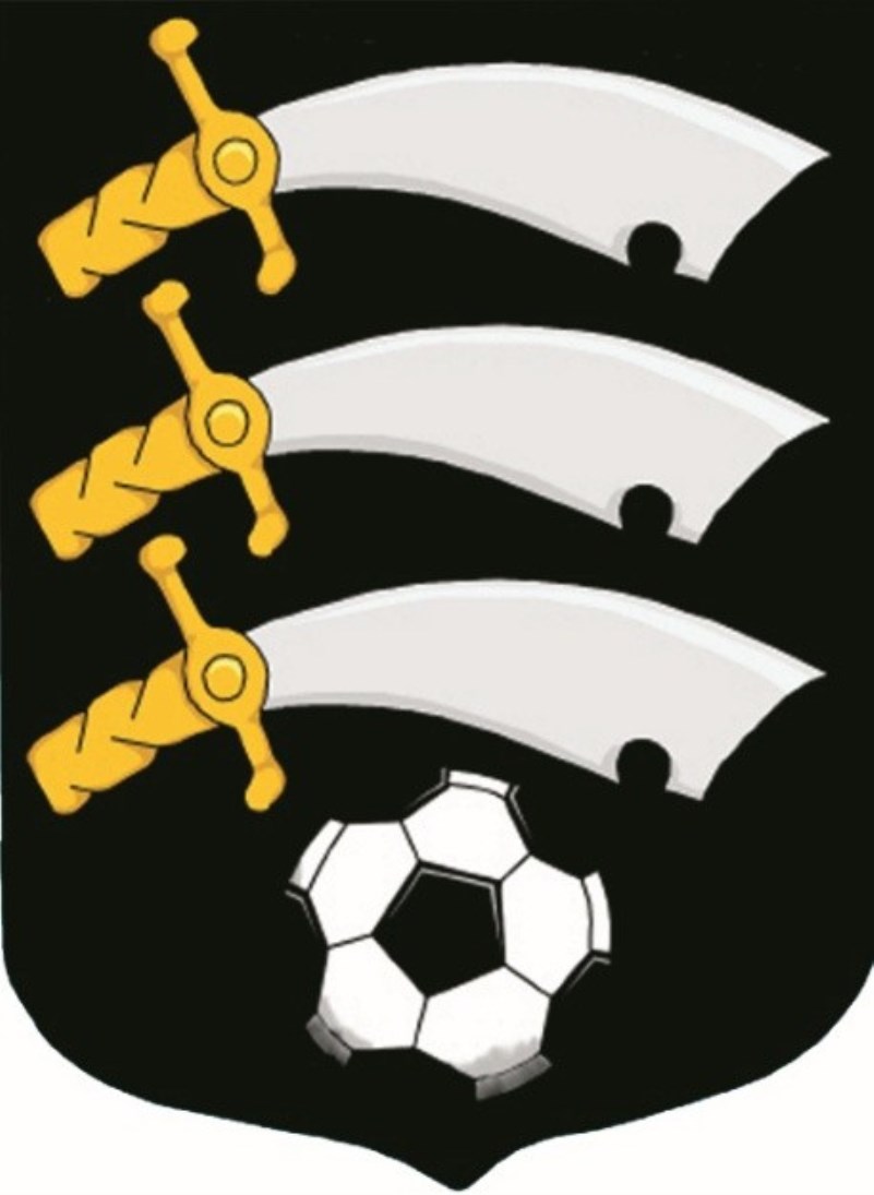 FIRST TEAM MANAGEMENT UPDATE - Springfield FC