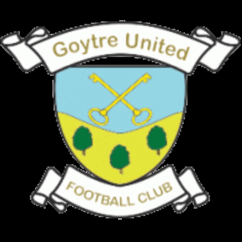 CLUB ANNOUNCEMENT: Lyndon & Raymond Suhanski - GOYTRE UNITED