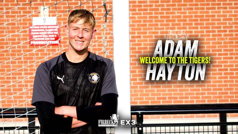 Tigers sign Adam Hayton on loan - Worksop Town FC