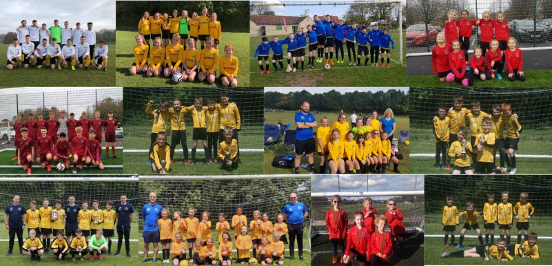 Welcome to our New Website and Club Shop! - Chineham Tigers Football Club