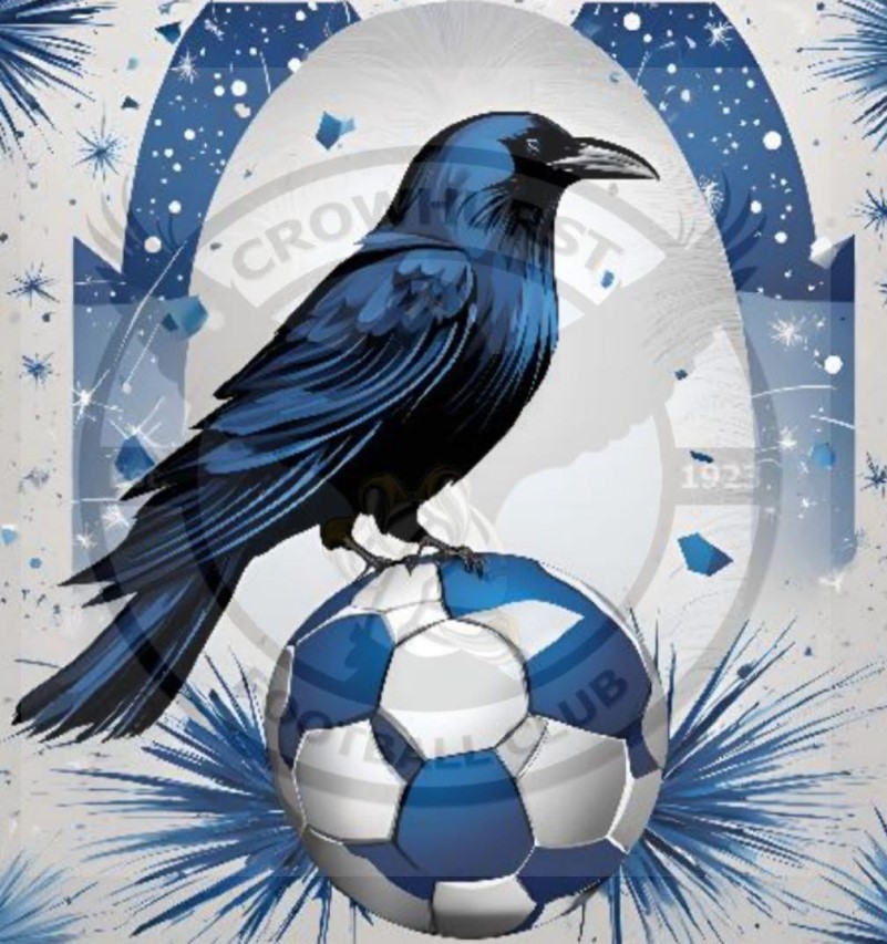Crowhurst Football Club, Happy New Year from Crowhurst FC