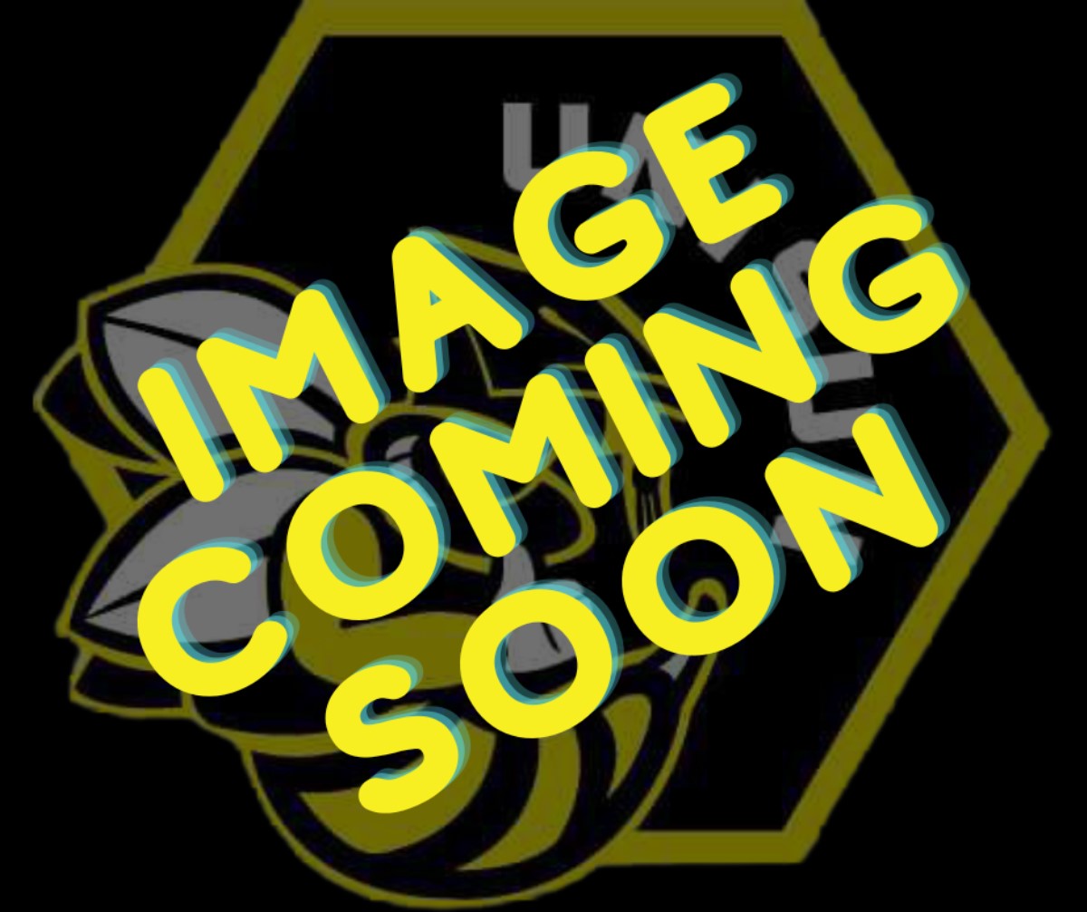 Under 13 - UniSun Athletic Football Club