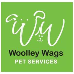 Huntingdon Town Rowdies Youth FC